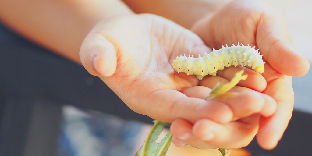 The 'Would You Still Love Me If I Was a Worm' Meme, Explained