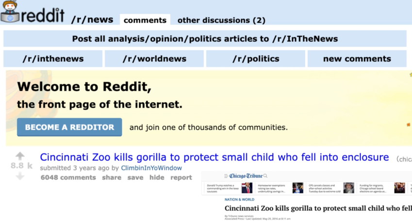 Harambe Meme: The History And Memes Of Harambe The Gorilla