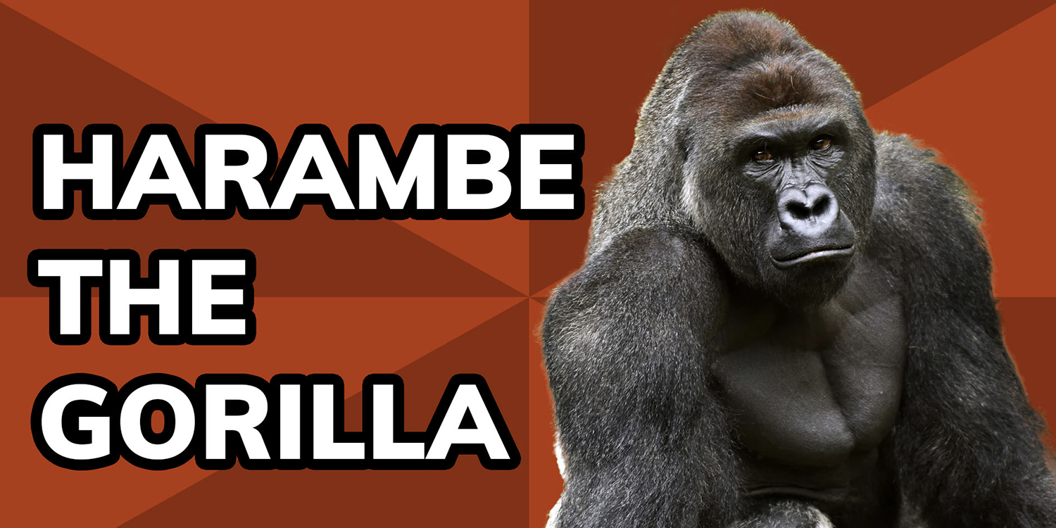 Harambe Meme: The History And Memes Of Harambe The Gorilla