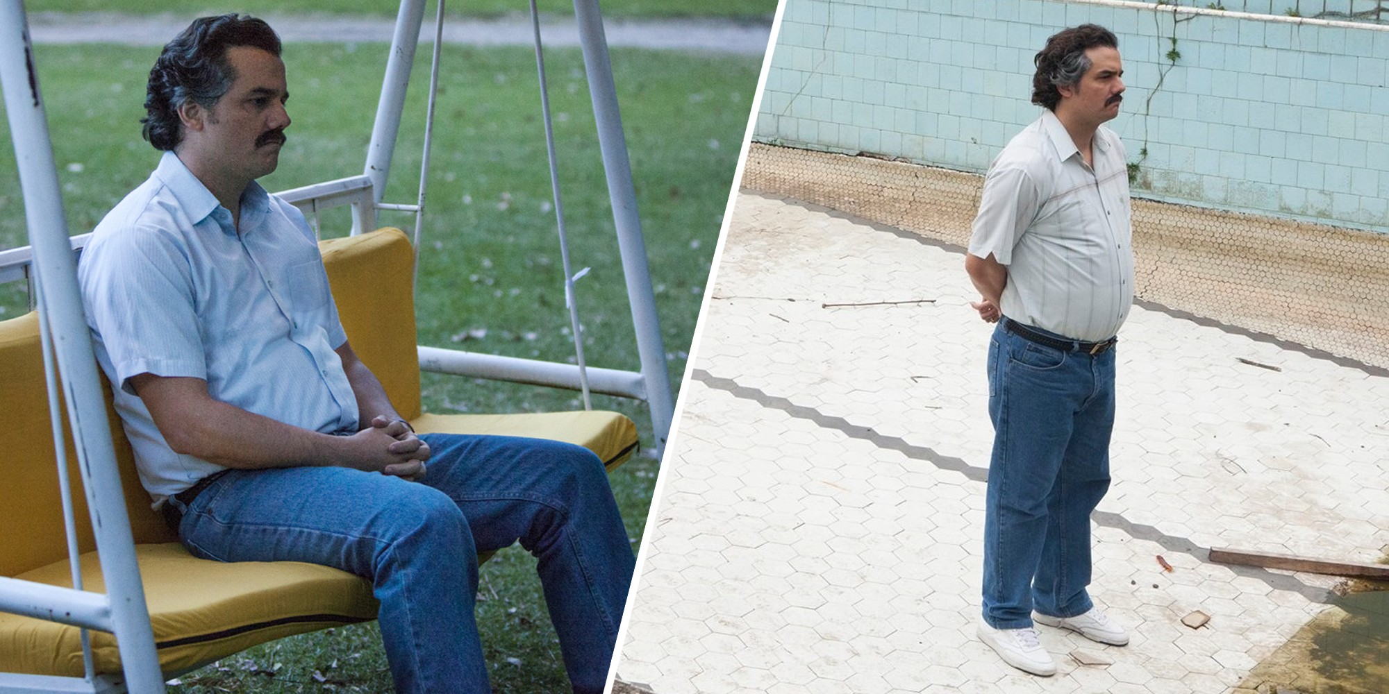 Pablo Escobar Meme: What It Is And Where It Came From