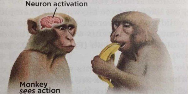 The Story Behind the Neuron Activation Meme
