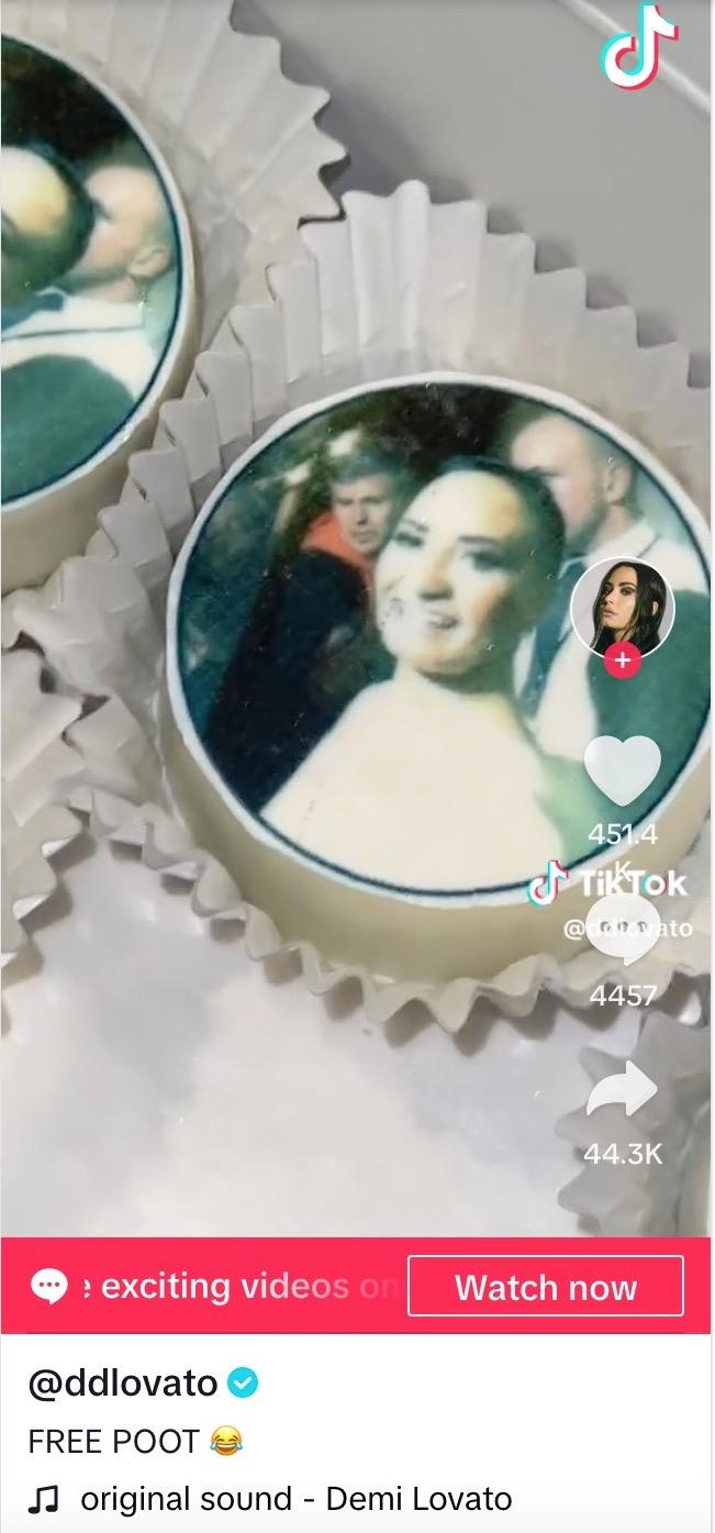 Poot Lovato Meme: Everything You Need to Know
