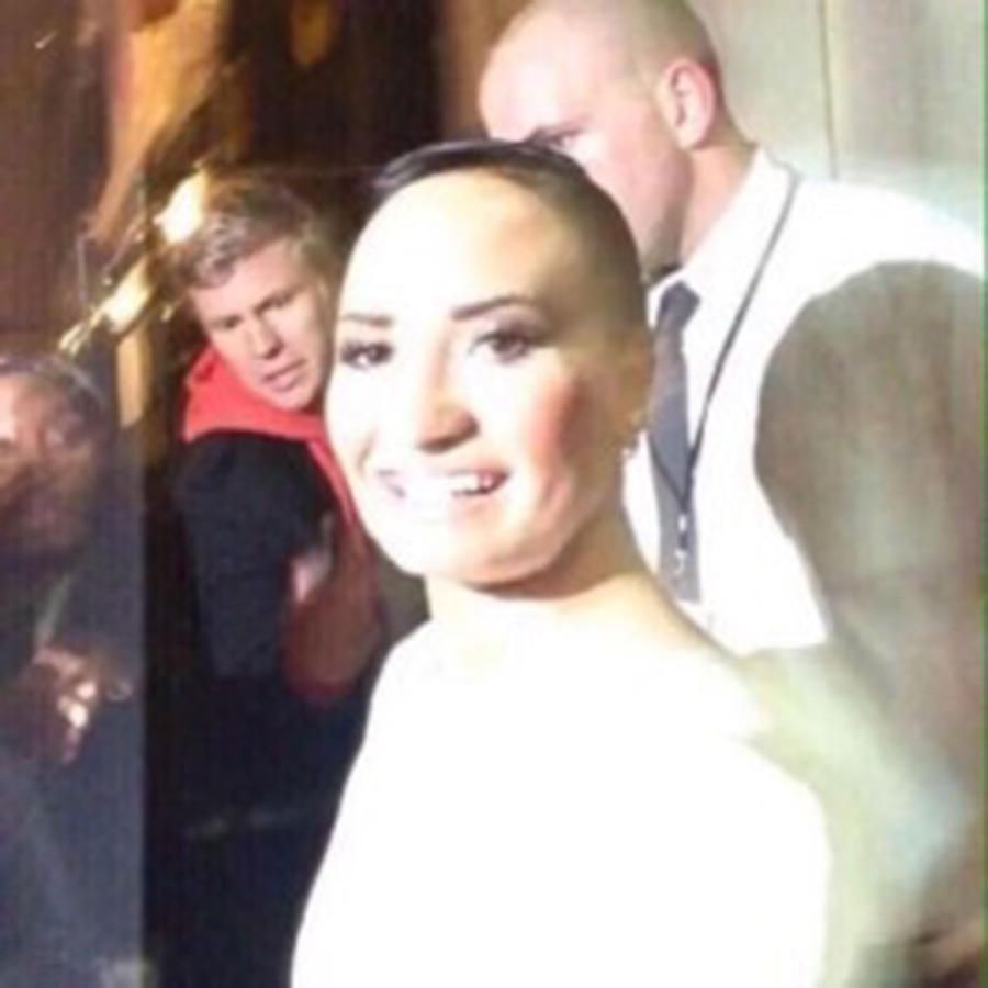Poot Lovato Meme: Everything You Need to Know