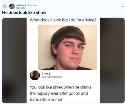 Human Shrek Is Too Beautiful For This World