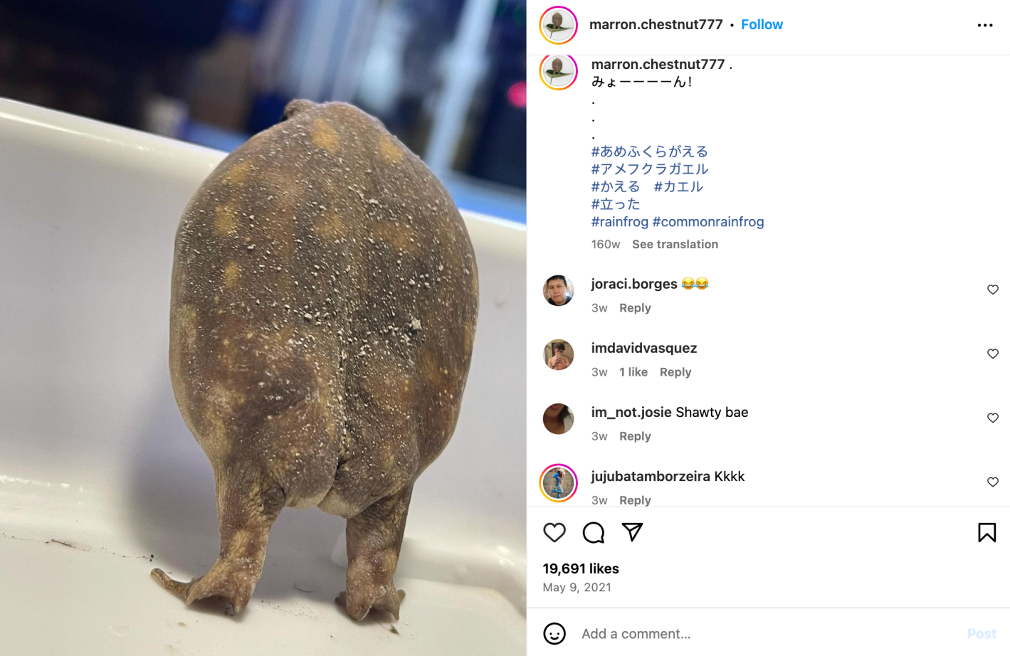Frog Butt, Or Phrog Butt IRL: An Icon