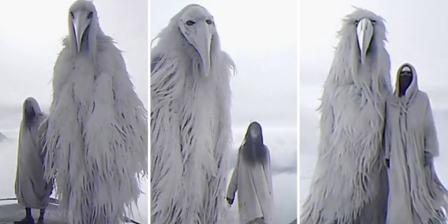 Erosion Bird: What Is It And Where Did It Come From?