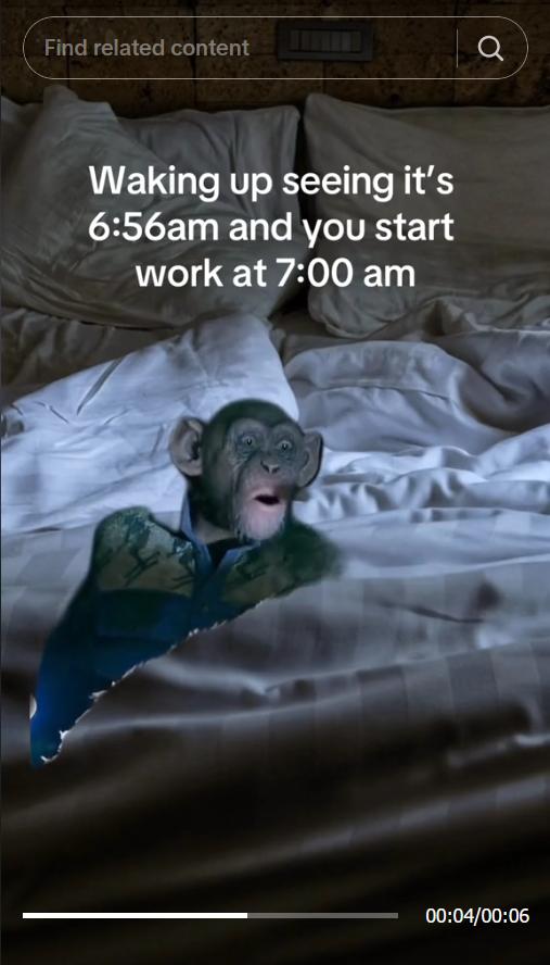 'Oh No' Monkey Meme From 'Planet Of The Apes'