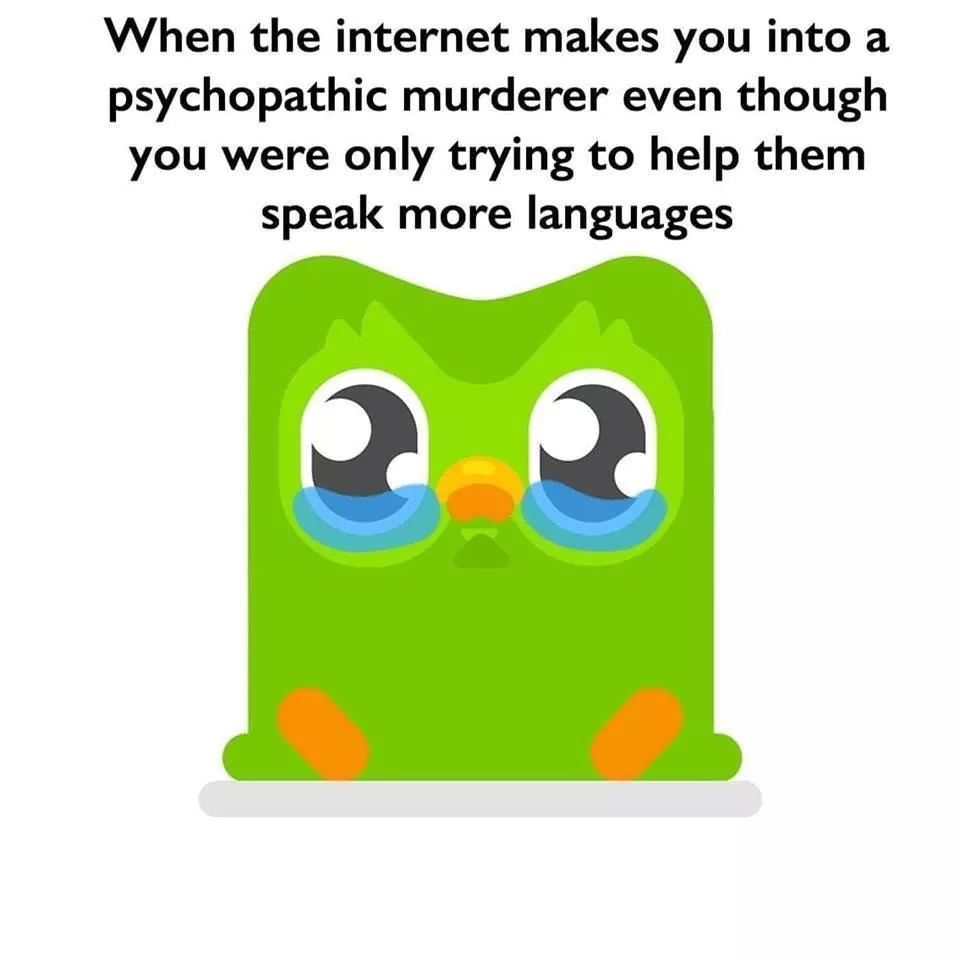 25 Best Duolingo Memes And Jokes