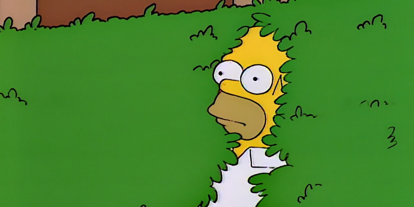 Homer Simpson Bush Meme: Origins, Spread, And Examples