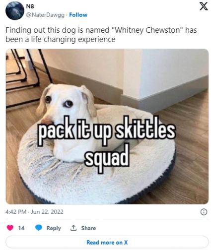 Homophobic dog a thread: pic.twitter.com/rS9hHdBwRz