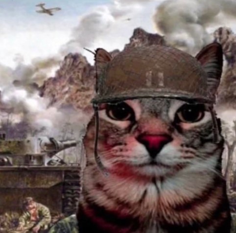 Thousand Yard Stare Meme: Origins, Spread, And Examples
