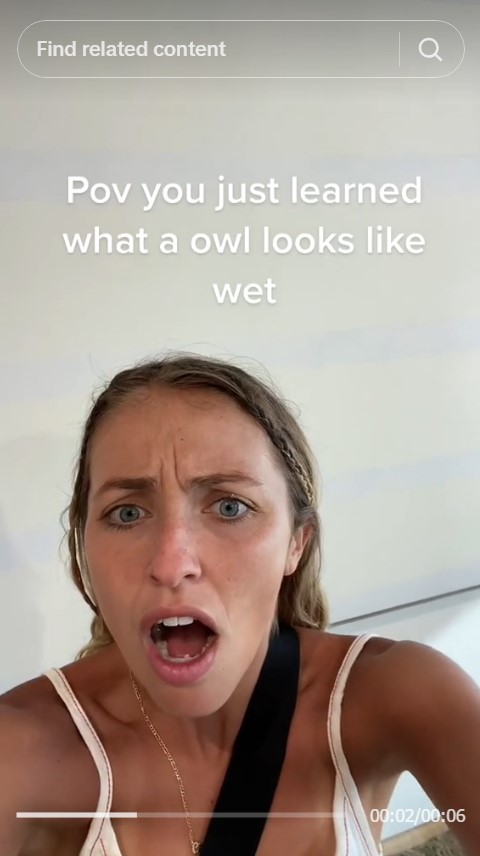 Wet Owl Memes For When You've Simply Had Enough
