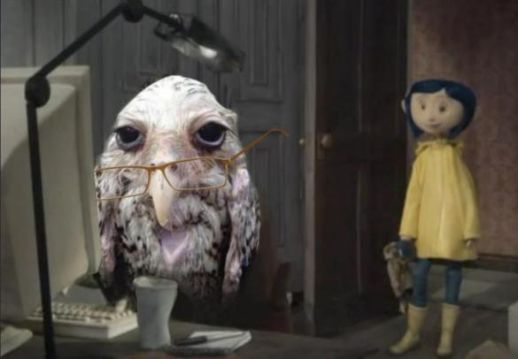 Wet Owl Memes For When You've Simply Had Enough