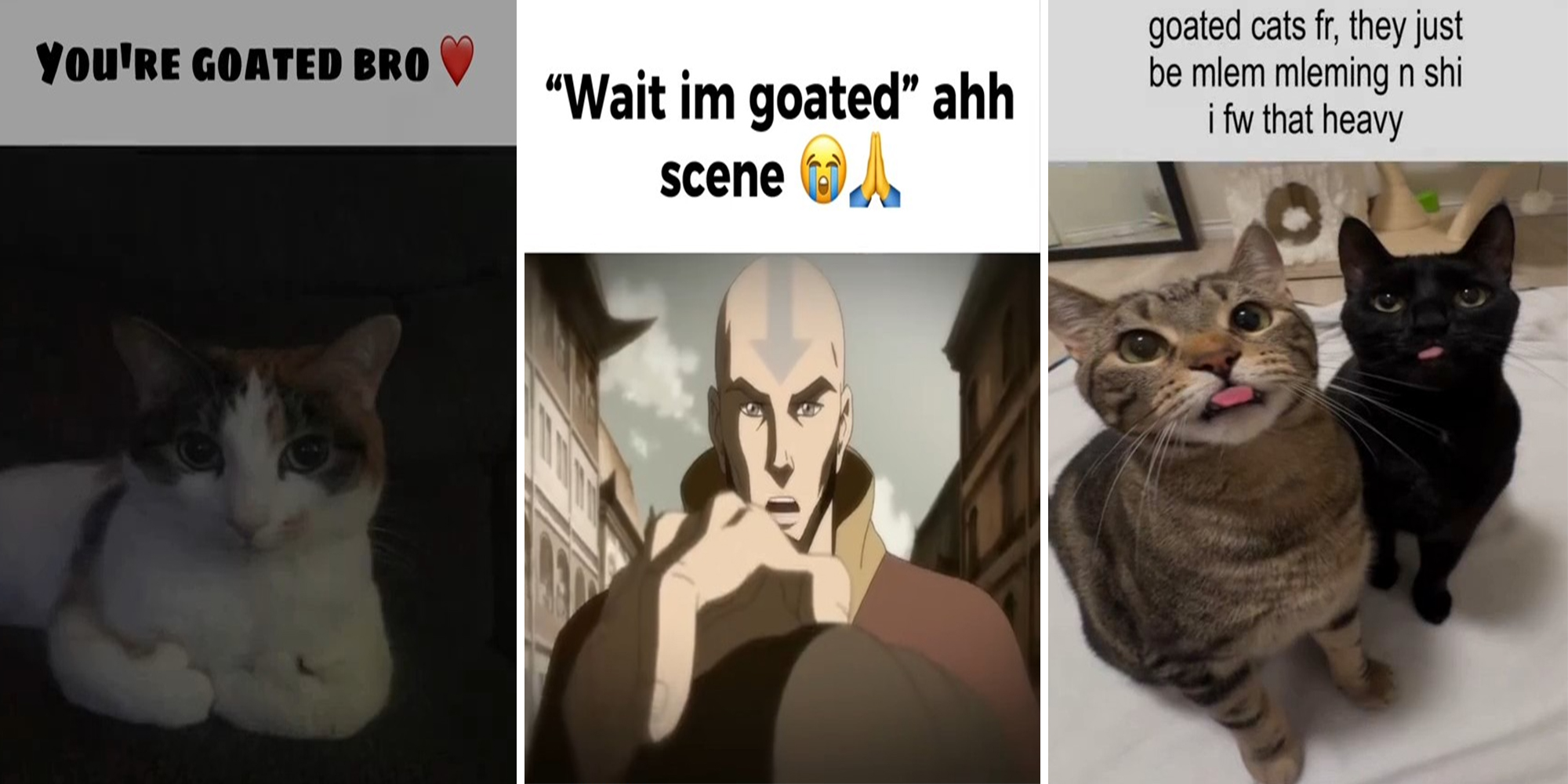 'Wait I'm Goated' Meme Origins, History, And Examples