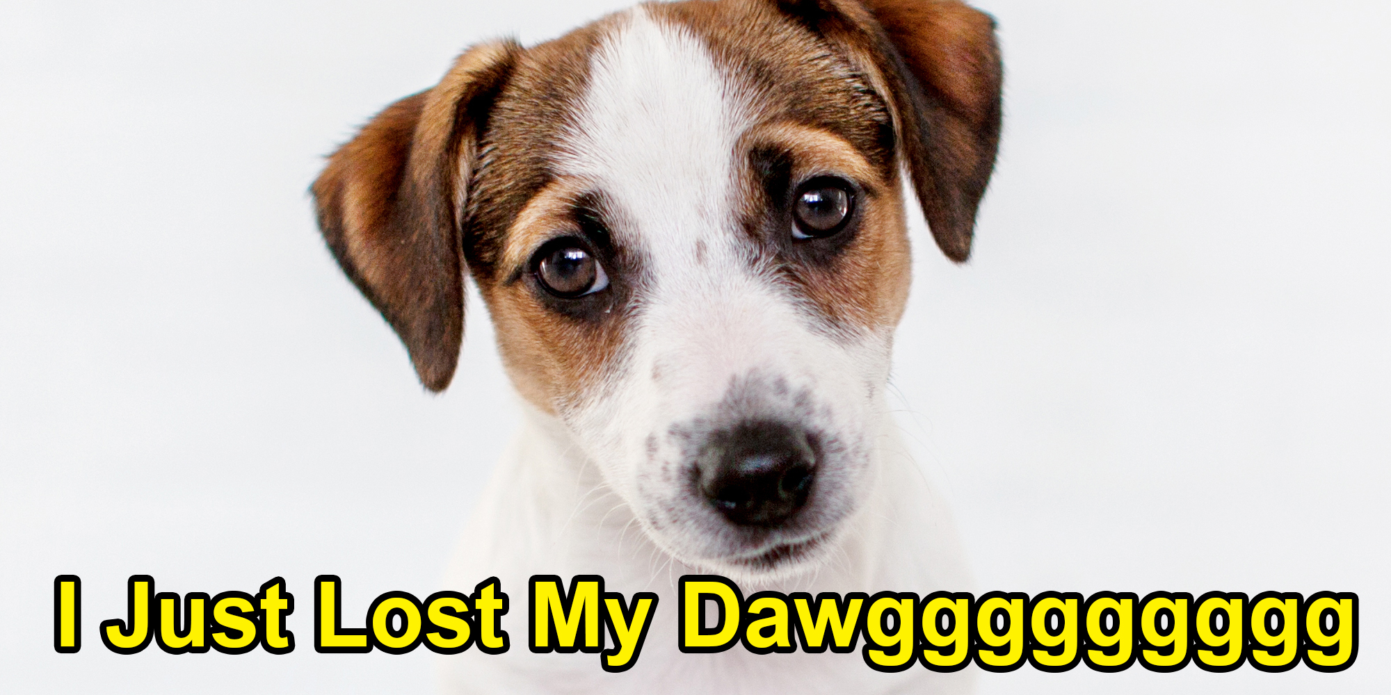 The Roddy Ricch 'I Just Lost My Dawg' Meme, Explained