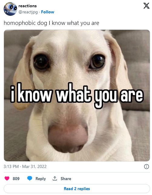 I Know What You Are Meme