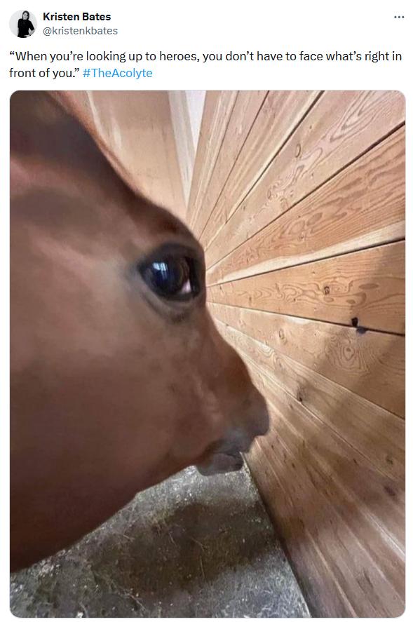 Side Eye Horse Meme