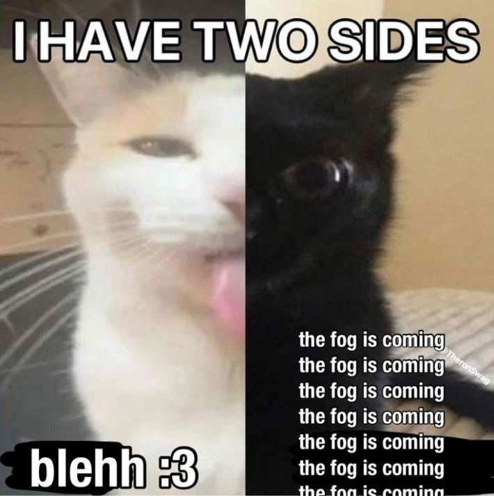 What Is 'The Fog Is Coming' Meme All About?