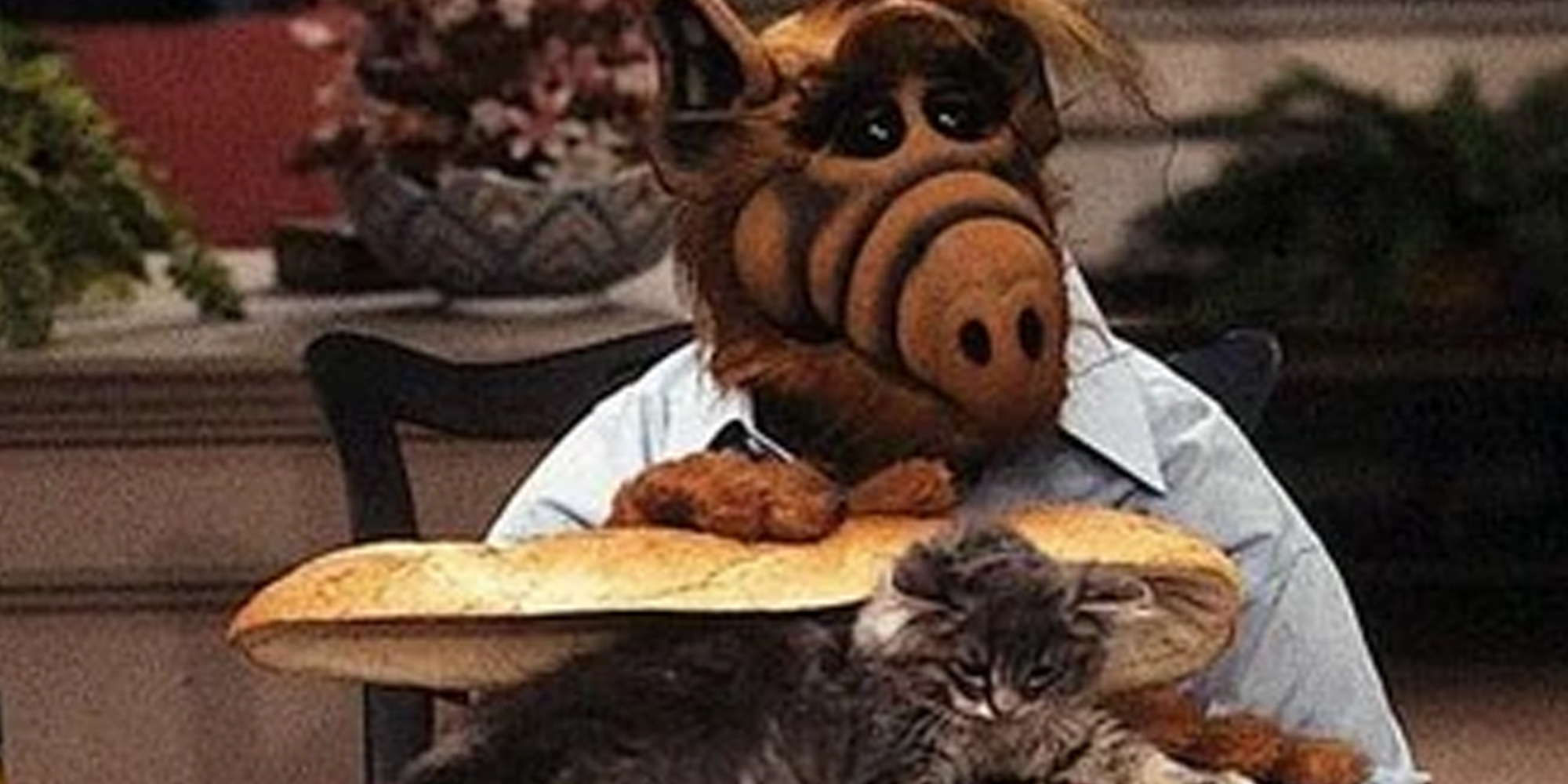 Alf Cat Memes Surge Following Trump's 'Eating Pets' Claim