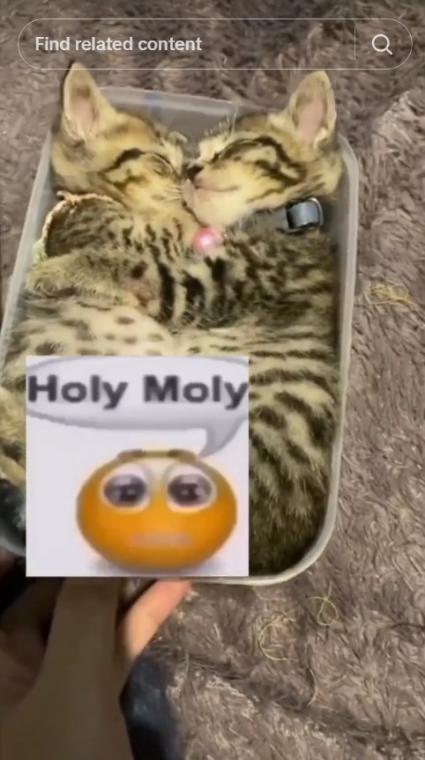 Holy Moly Emoji: Origins, Spread, And Examples