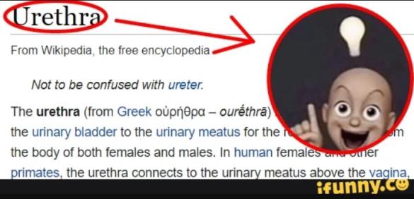 The URETHRA!! Meme: Origins, Examples, Variations