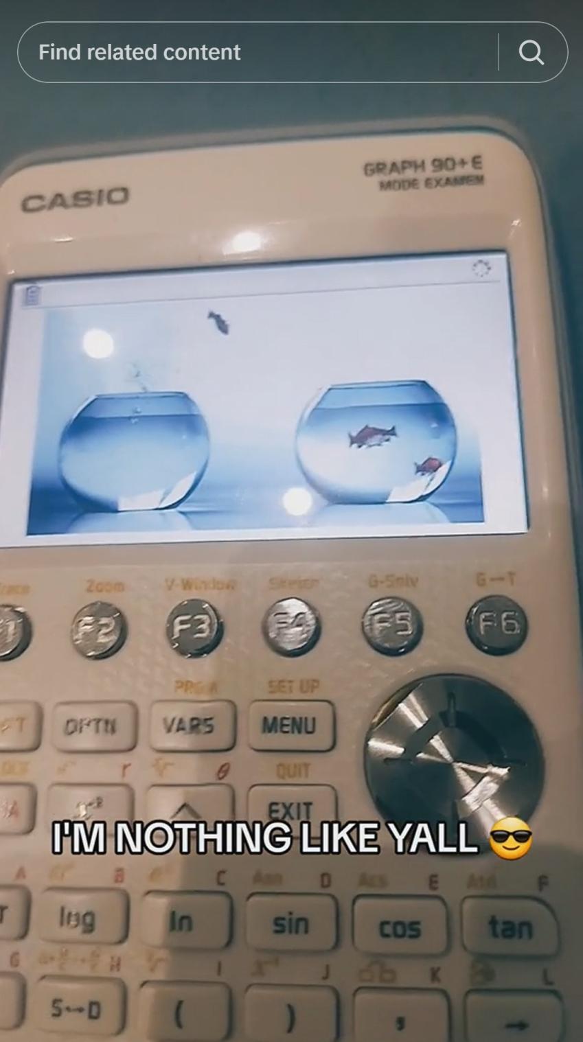 I'm Nothing Like Y'all: A Fish Meme