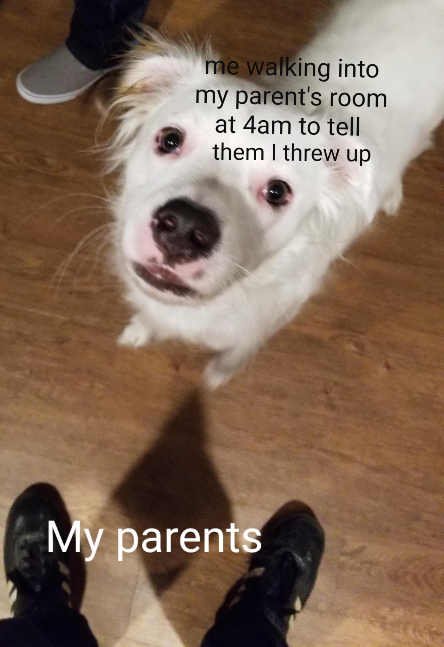 The 'Mom I Threw Up' Meme And Its Many Variations