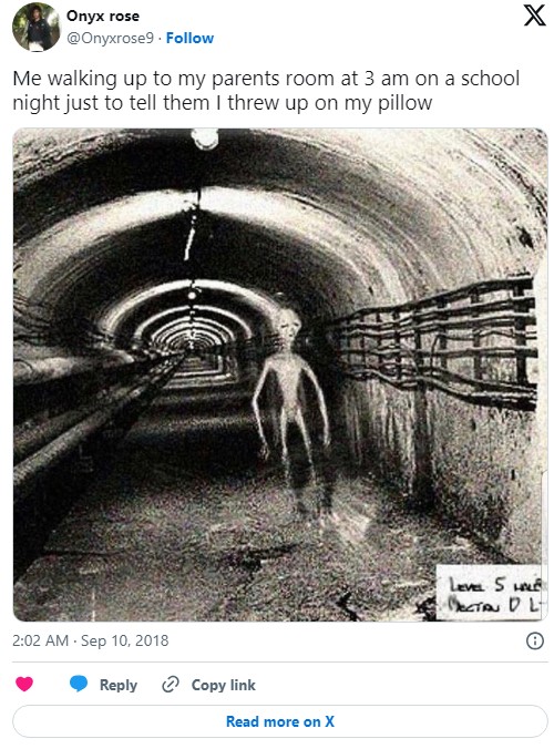 The 'Mom I Threw Up' Meme And Its Many Variations
