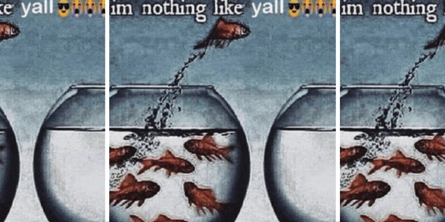 I'm Nothing Like Y'all: A Fish Meme