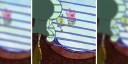 The Squidward Window Meme: A Visual Representation Of FOMO