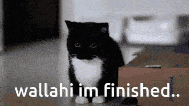 'Wallahi, I'm Finished': A Reaction Meme