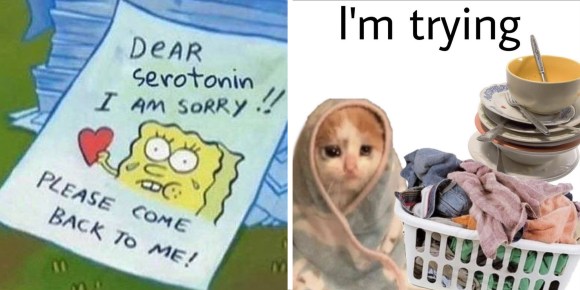 45 Of The Funniest Depression Memes