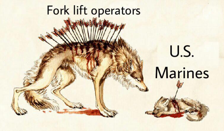 What's Up With Forklift Certification Memes?