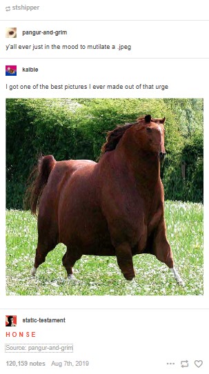 Honse: The Horse Meme With Chunky Proportions