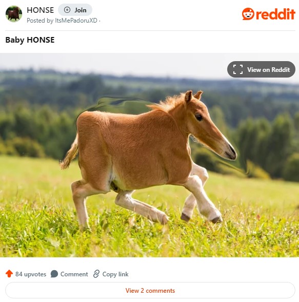 Honse: The Horse Meme With Chunky Proportions