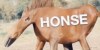 Honse: The Horse Meme With Chunky Proportions