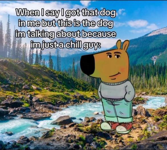 35 Of The Funniest I'm Just A Chill Guy Memes