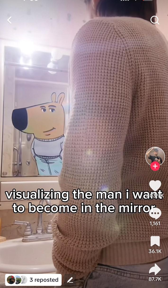 35 Of The Funniest I'm Just A Chill Guy Memes