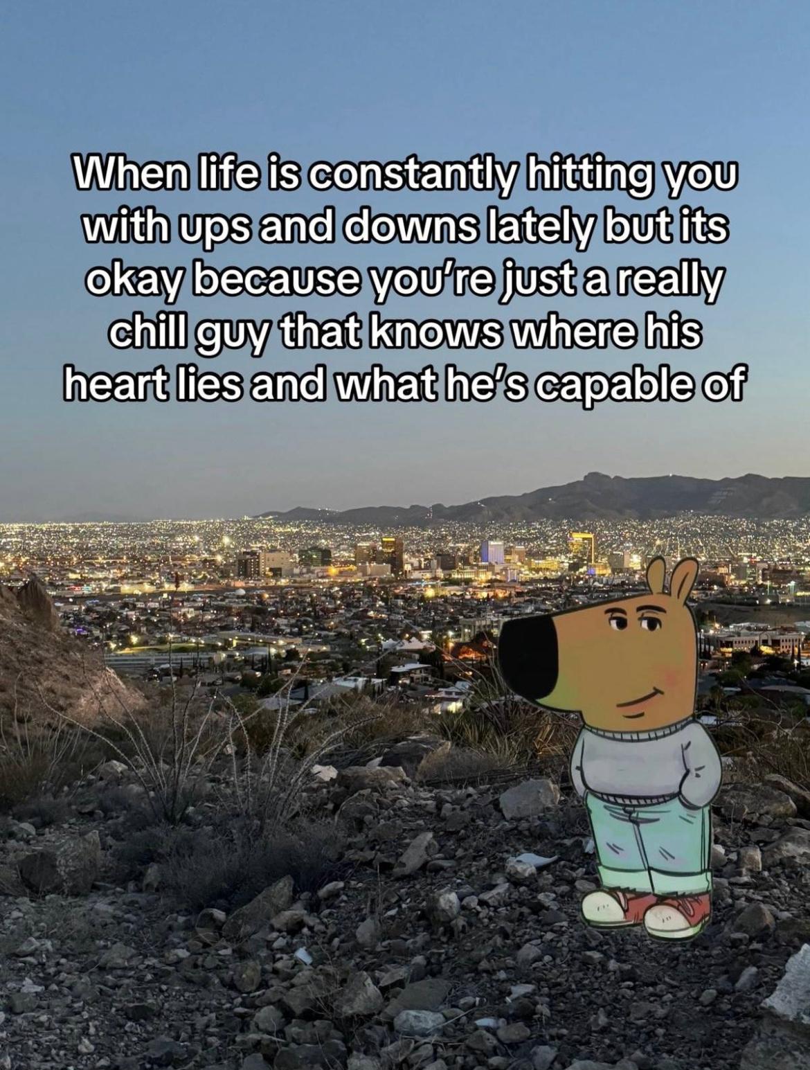 35 Of The Funniest I'm Just A Chill Guy Memes