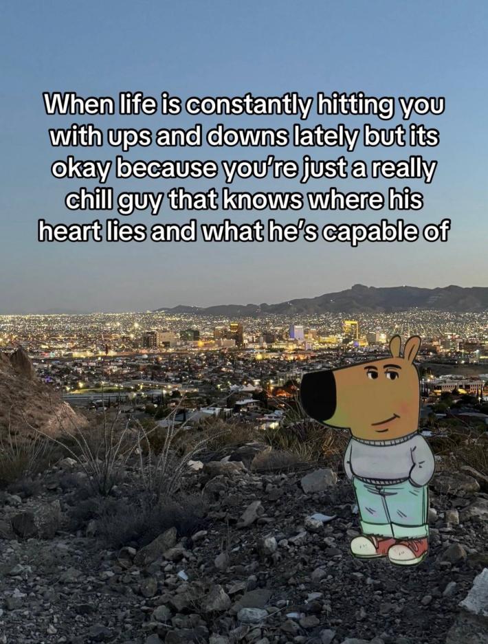 35 Of The Funniest I'm Just A Chill Guy Memes