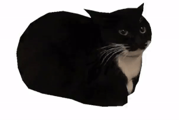 60 Of The Funniest Cat Memes On The Internet
