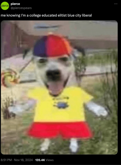 Silly Dog In A Propeller Hat Meme Origins, History, & Examples