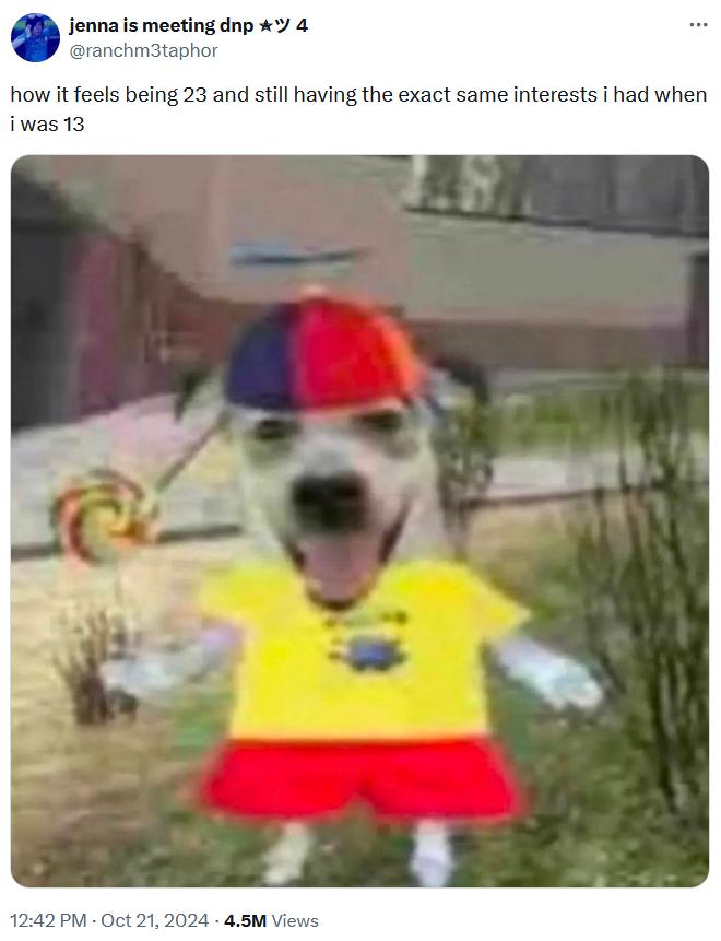 Silly Dog In A Propeller Hat Meme Origins, History, & Examples