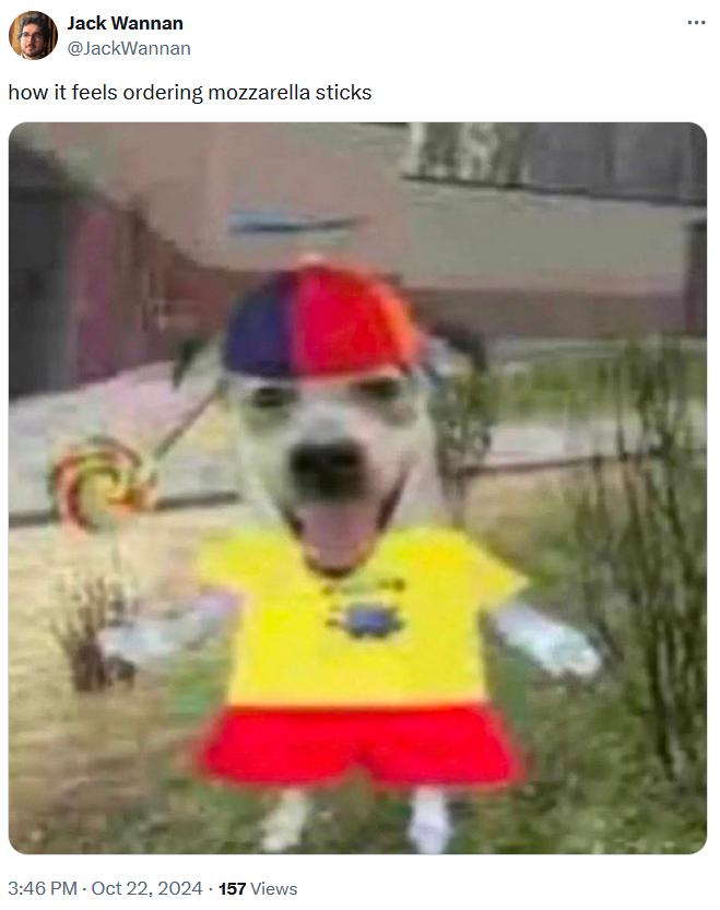 Silly Dog In A Propeller Hat Meme Origins, History, & Examples