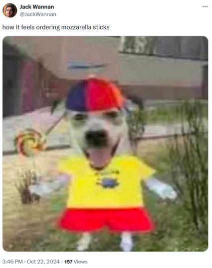 Silly Dog In A Propeller Hat Meme Origins, History, & Examples