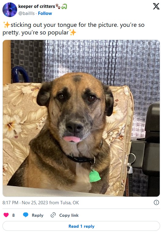 Explaining The 'Sticking Out Your Tongue For The Picture' Meme