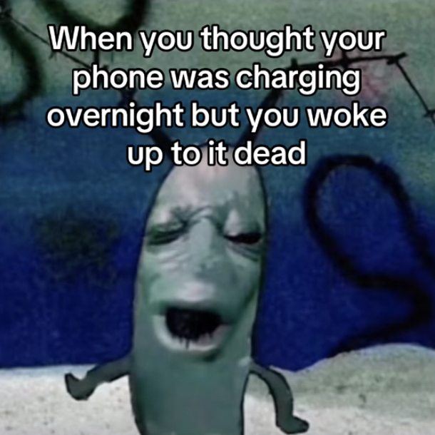 In the darkest of days, the Moaning Plankton Face meme unites the internet