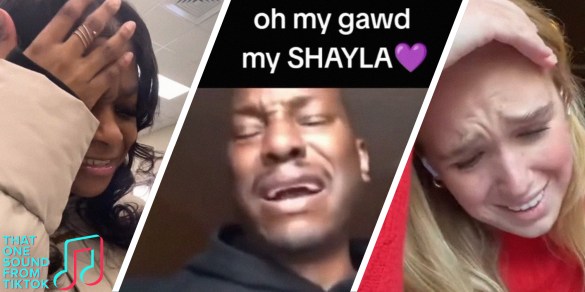 'My Shayla' Explained