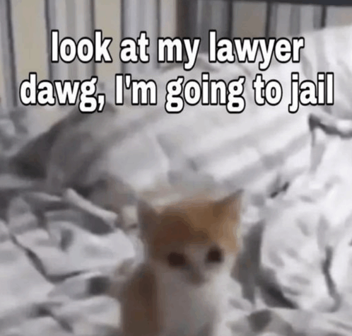 'Look At My Lawyer Dawg I'm Going To Jail': A Meme History