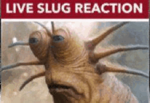 More Star Wars memes: